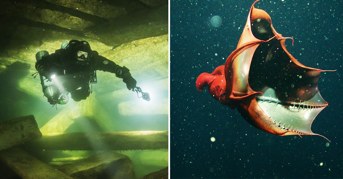25 Underwater Discoveries That'll Make Us Want To Stay On Dry Land